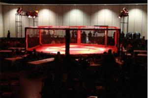 Hexagon MMA Cage | United States | Rings and Cages