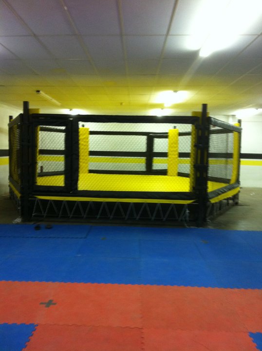 Hexagon MMA Cage | United States | Rings and Cages