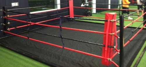 Freestanding Floor Ring: Contact for price | ringsandcagesnew