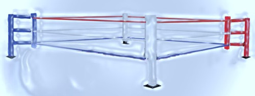 Training Series Floor Ring | ringsandcagesnew