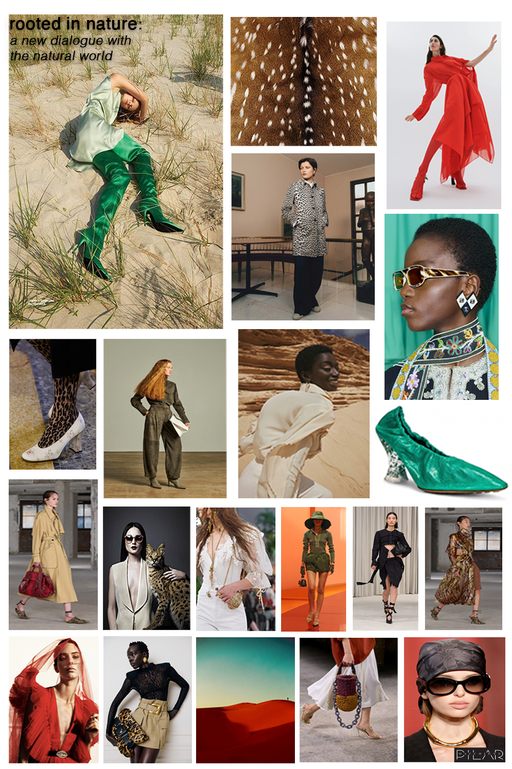 Curated Style: Sustainable Fashion and Design Trends + Digital Design ...