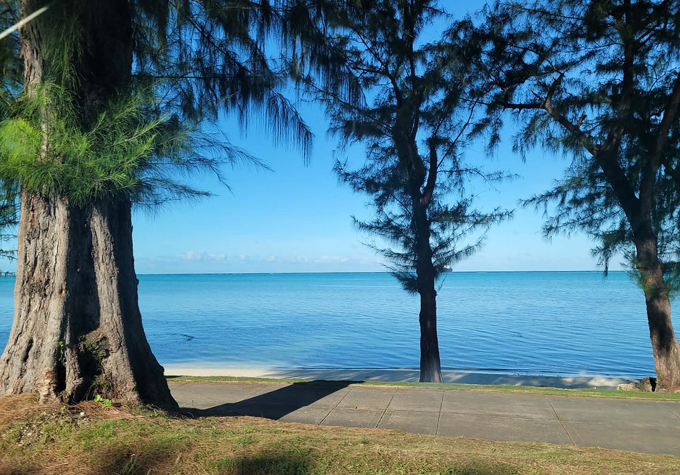 Guam calls for moratorium on seabed mining