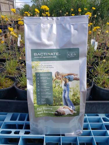 BACTIVATE Home soil regeneration pack | Seed 2 Leaves