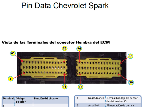 Diagrama Pin Data computadora Spark | Capacitación Online