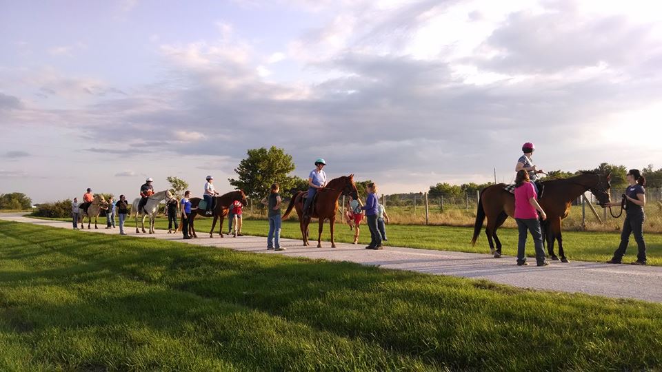 Home | onehearthorses