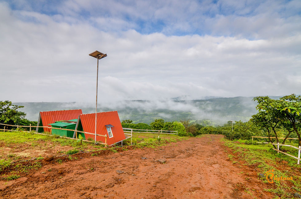 Mango Forest Agro Tourism | Gallery | Forest Resort In Velhe