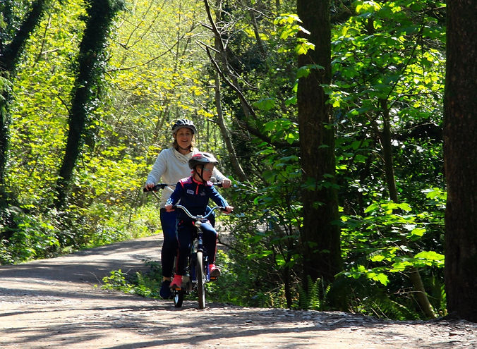 Companion Tandems | special needs bikes | Ireland