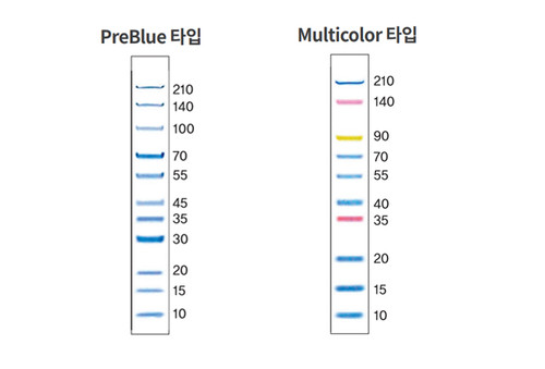 EzWay Protein Multicolor Ladder, 10 bands | Jandy