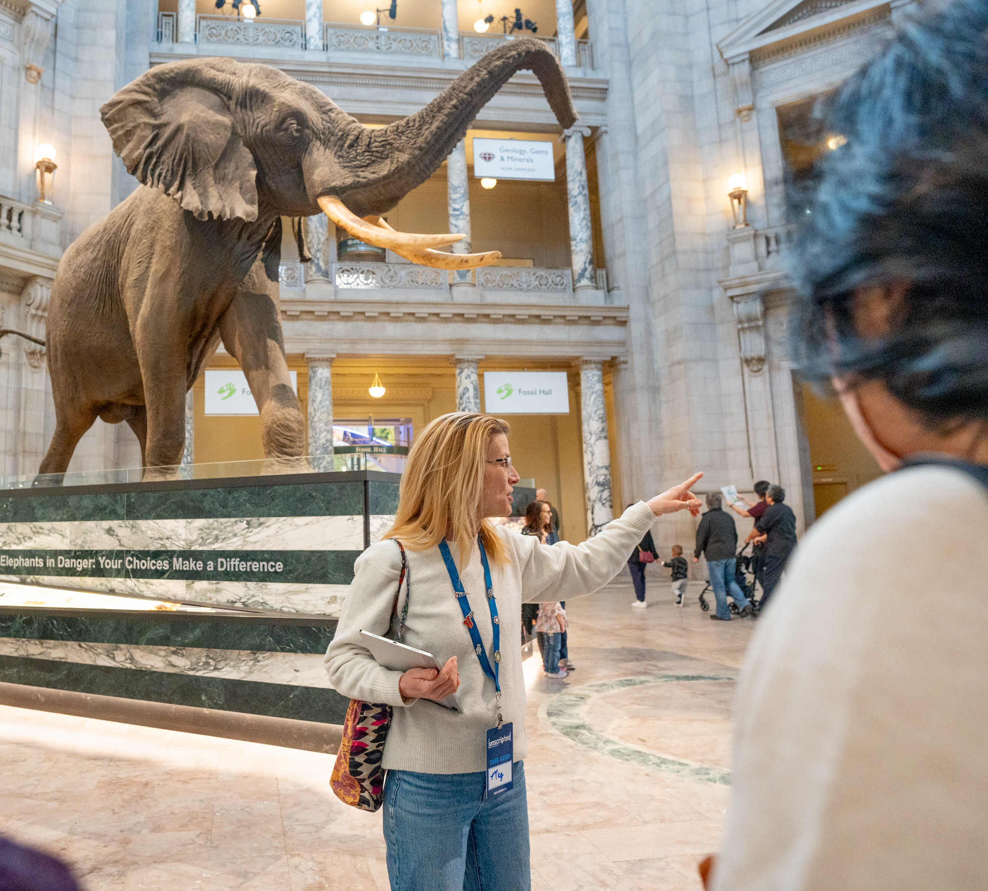Smithsonian Natural History Museum Private Tour | Unscripted Tours
