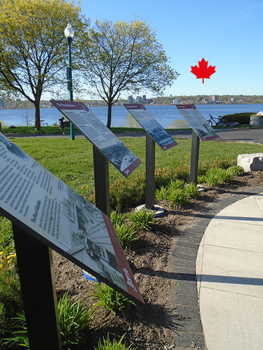 IMPACT Graphic Panel | Page Graphics