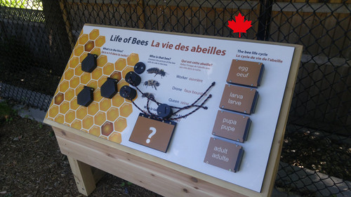 Interactive Flaps | Page Graphics