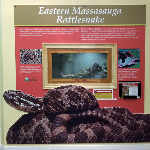 Sintra Graphic Panels | Page Graphics