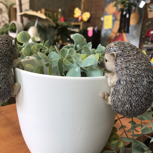 Hedgehog (spike) pot hanger | Warehouse Wonders