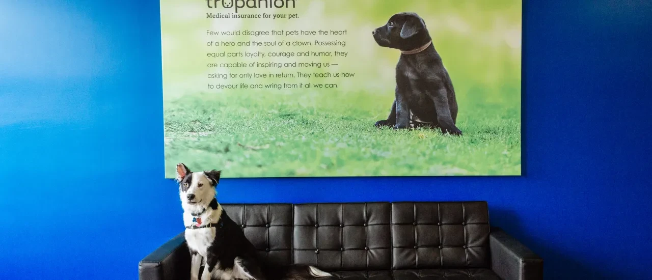 TRUPANION Internal Branding