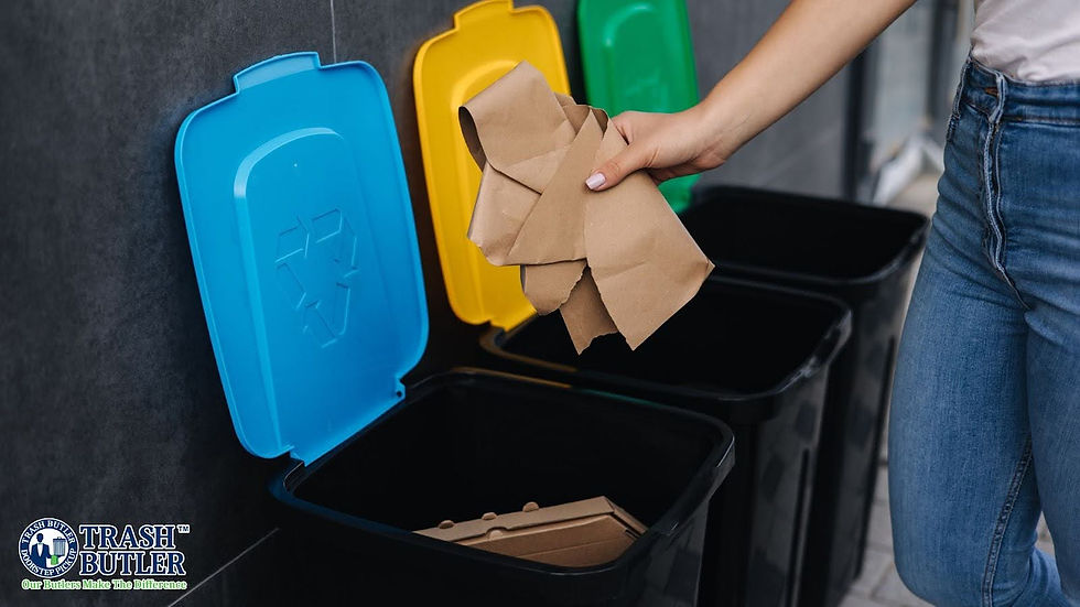 Eco-Friendly Trash Disposal Options for Apartments: Green Solutions ...