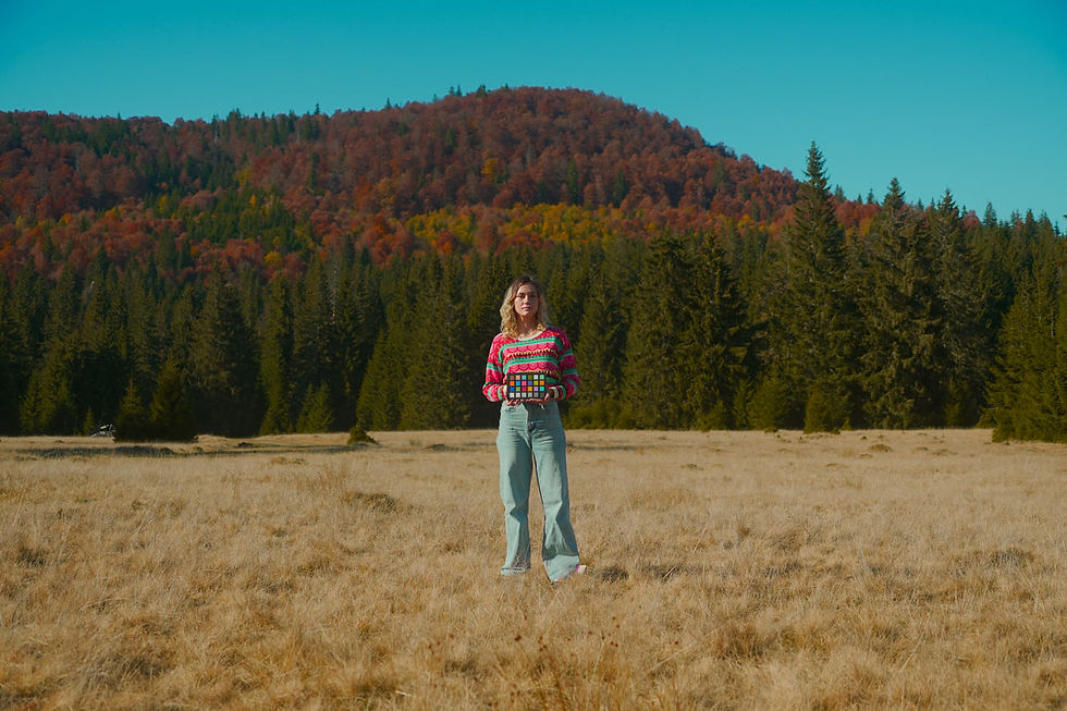 Comparing all 74 Sony Film Recipes