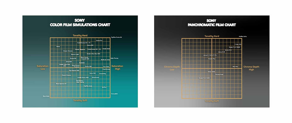 Sony Film Simulation | veresdenialex