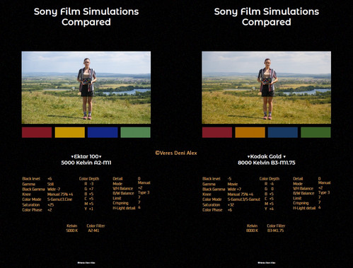 Free Sony Film Simulation - Free Film Emulations | veresdenialex