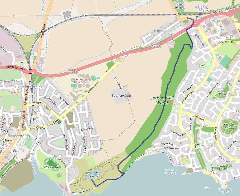 Letham Hill Wood | Walks