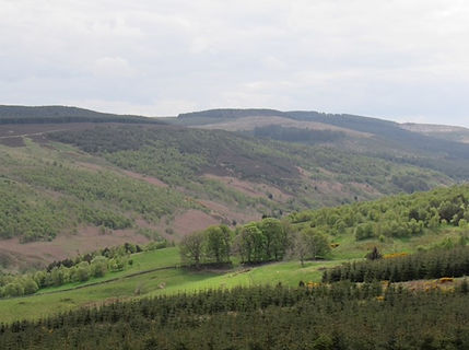 Path of Condie | Walks