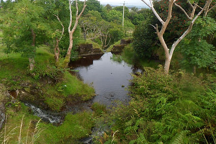 greenock cut | Walks