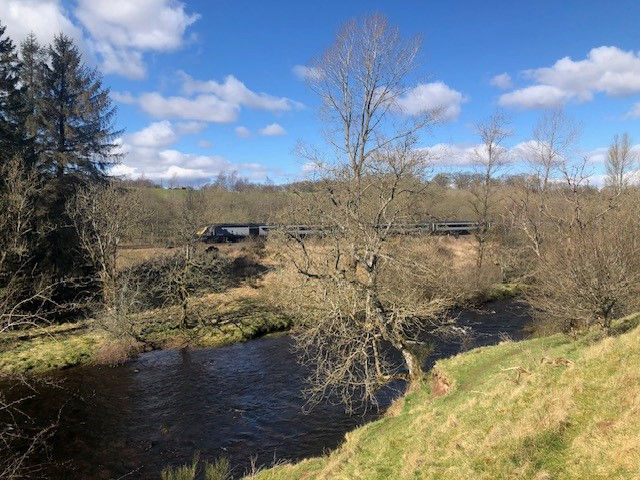 Dunblane Walk