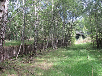 newtyle | Walks