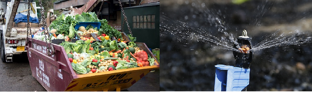 More to Food Waste; Water