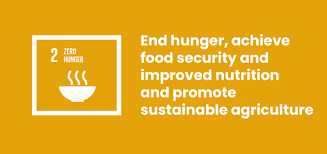 The Social Impact of Food Waste