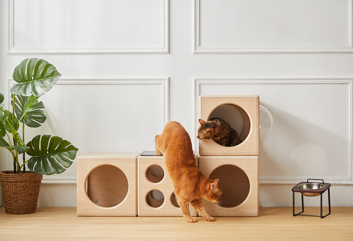 CAT CUBE | paipaipets
