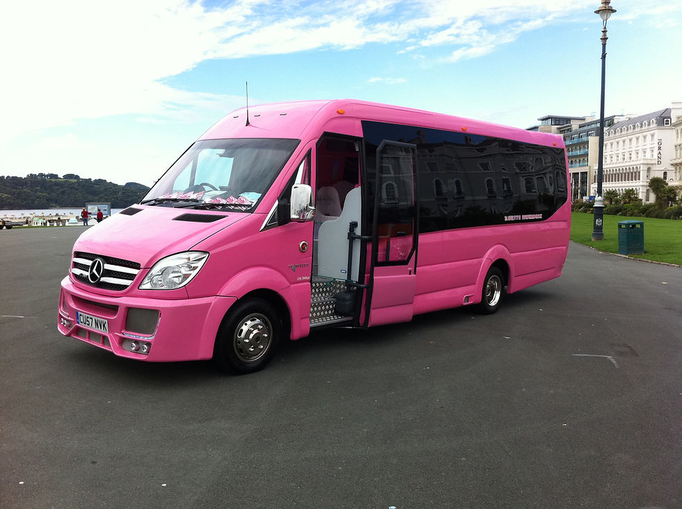 Pink 2013 Party Bus | all-star-limos