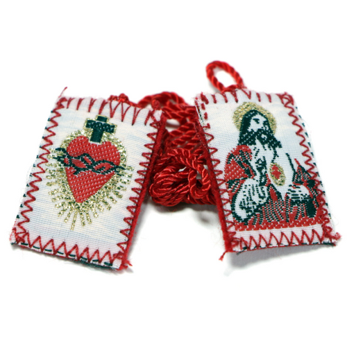 The Blessings of the Holy Scapular - Healing, Blessings & Graces from ...