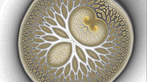 Celtic Wisdom Healing System - God/Goddess Connections for Healing ...