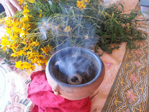 Curanderismo Book List | Ancestral Apothecary