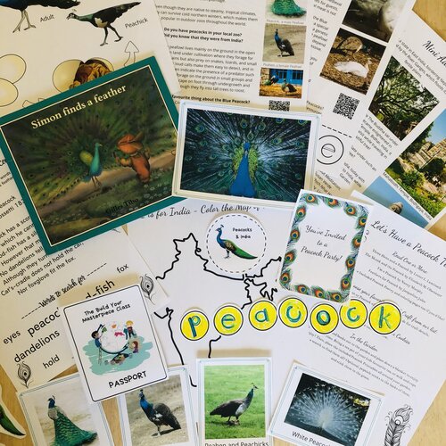 Learning & School Toys Nature Busy Book Printable Learning Animals Fun ...