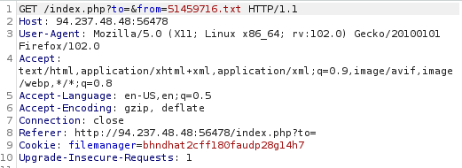 HTB Command Injections - Skills Assessment