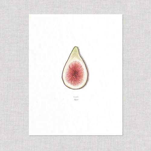 Hunt Fig Print | OPS