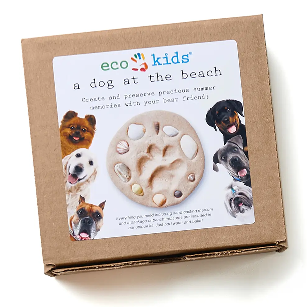 "A Dog At The Beach" Sand Casting Kit | OPS