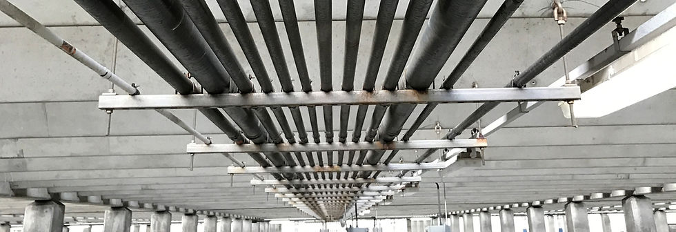 Services | ProDims LLC