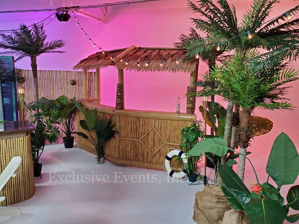 Custom Displays | Exclusive Events Inc 3/4