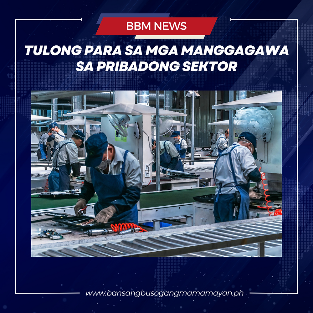 TULONG PARA SA MGA MANGGAGAWA SA PRIBADONG SEKTOR TULONG PARA SA MGA MANGGAGAWA SA PRIBADONG SEKTOR