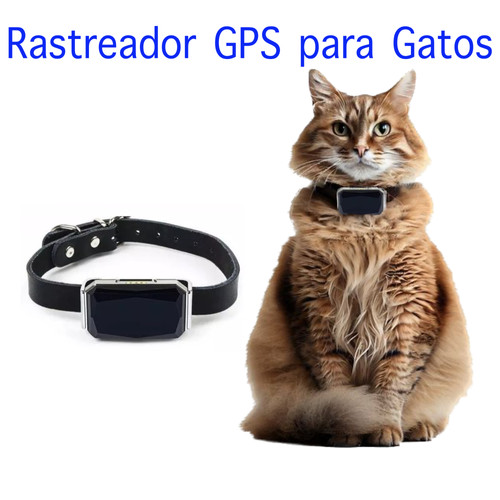 Rastreador GPS para Gatos | Odisea