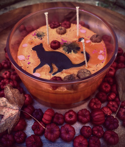 Black cat ★ Pumpkin Scratch ★ Samhain spell candle | starryeyedsupplies