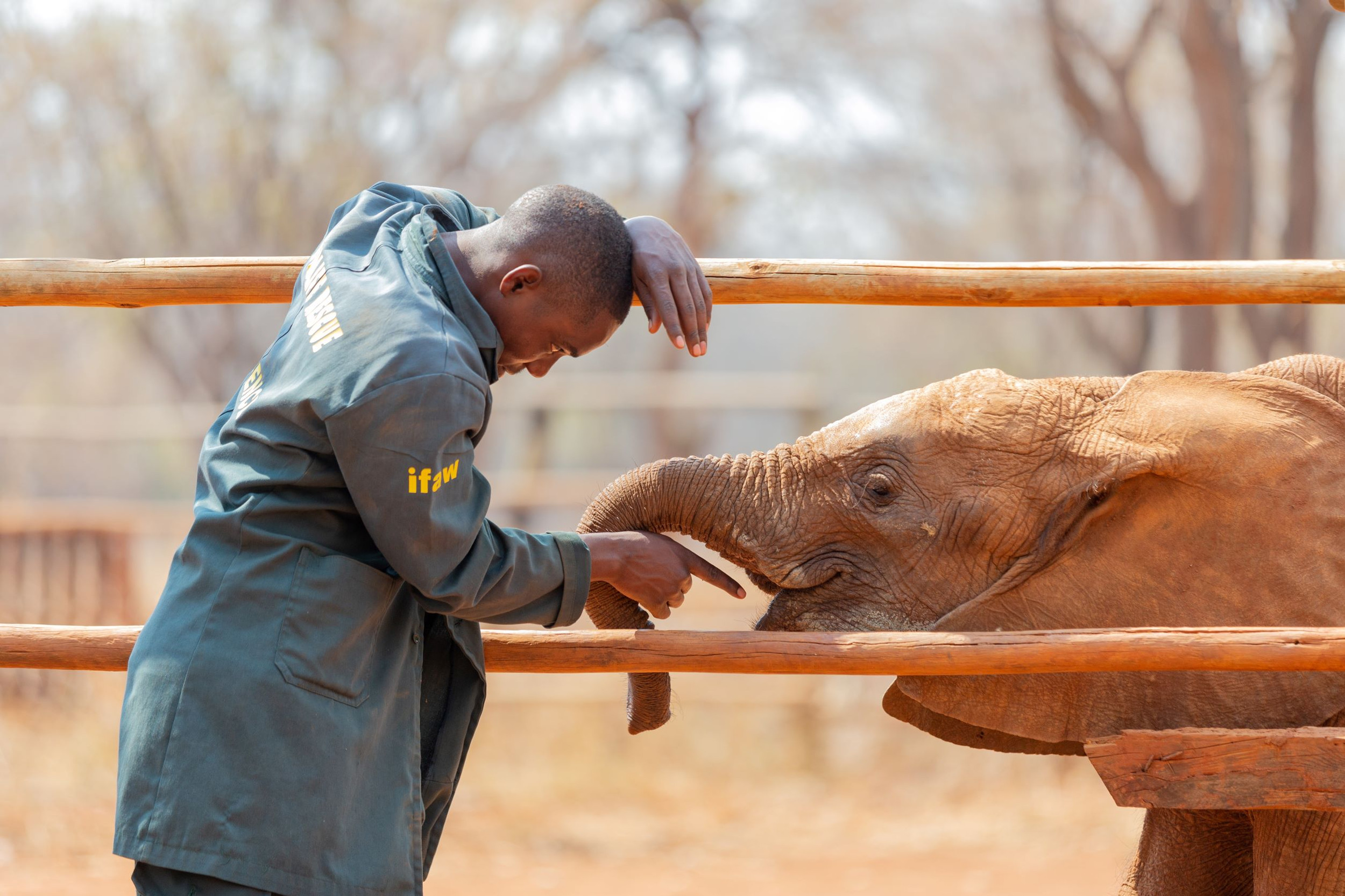 UPDATE ADOPTION | Game Rangers Intern