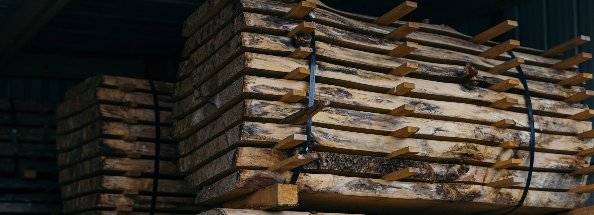 Lumber Products | Hout forest products