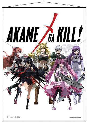 Akame Ga Kill! Wall Scroll: Heroines wall scroll | Gold Star Anime&Game