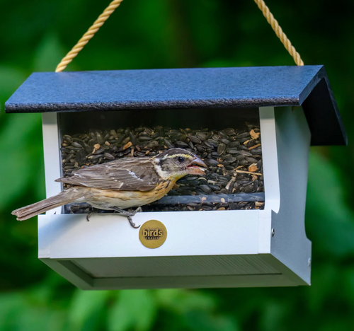 Feeder - Farmhouse Medium Hopper - White | Nature's Nest