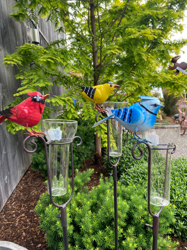 Cardinal Rain Gauge w/ Stake | Nature's Nest