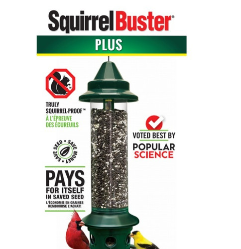 Brome Squirrel Buster - PLUS | Nature's Nest