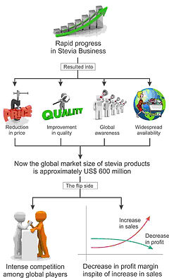 stevia production process